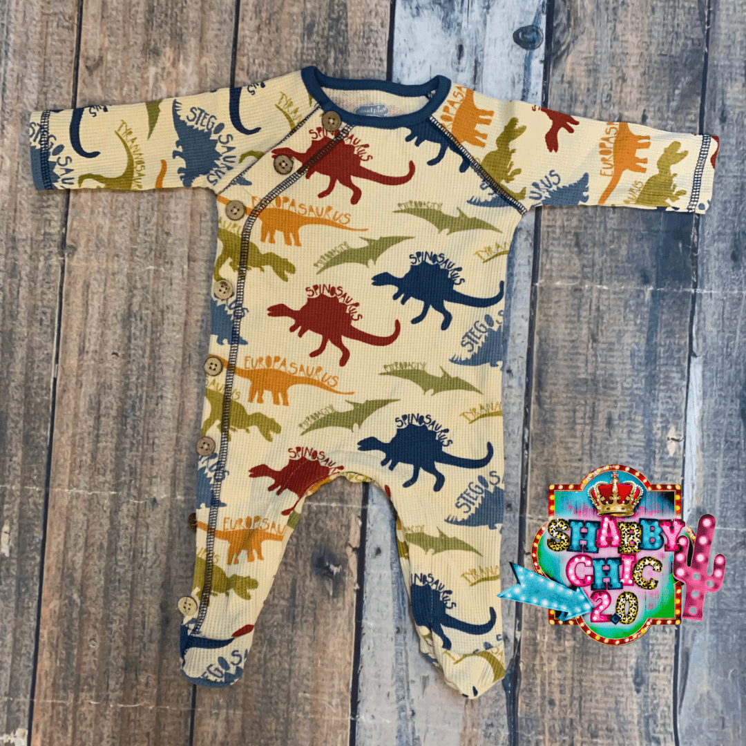 Colorful Dino Baby Sleeper – Shabby Chic Boutique and Tanning Salon